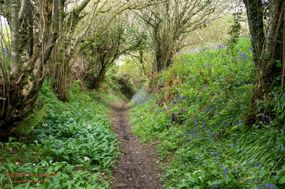 Holloways and Sunken Paths, the Mysterious Ancient Highways – The ...