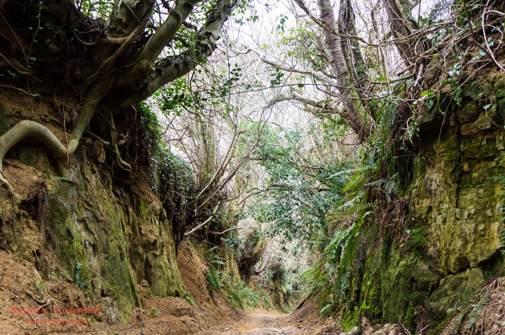 Holloways and Sunken Paths, the Mysterious Ancient Highways – The ...