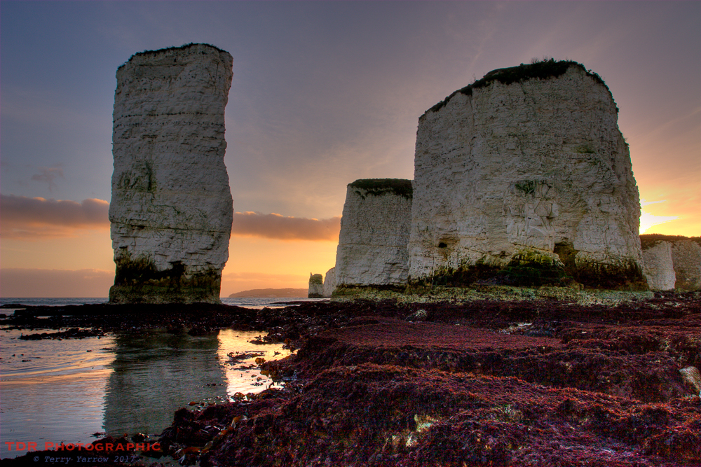 But Who is Old Harry? – The Dorset Rambler