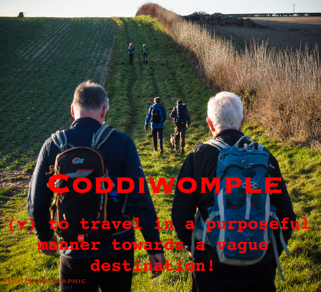 Coddiwomple?! – The Dorset Rambler