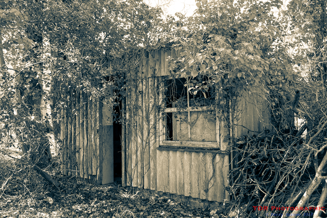 The Shack……with a history! – The Dorset Rambler