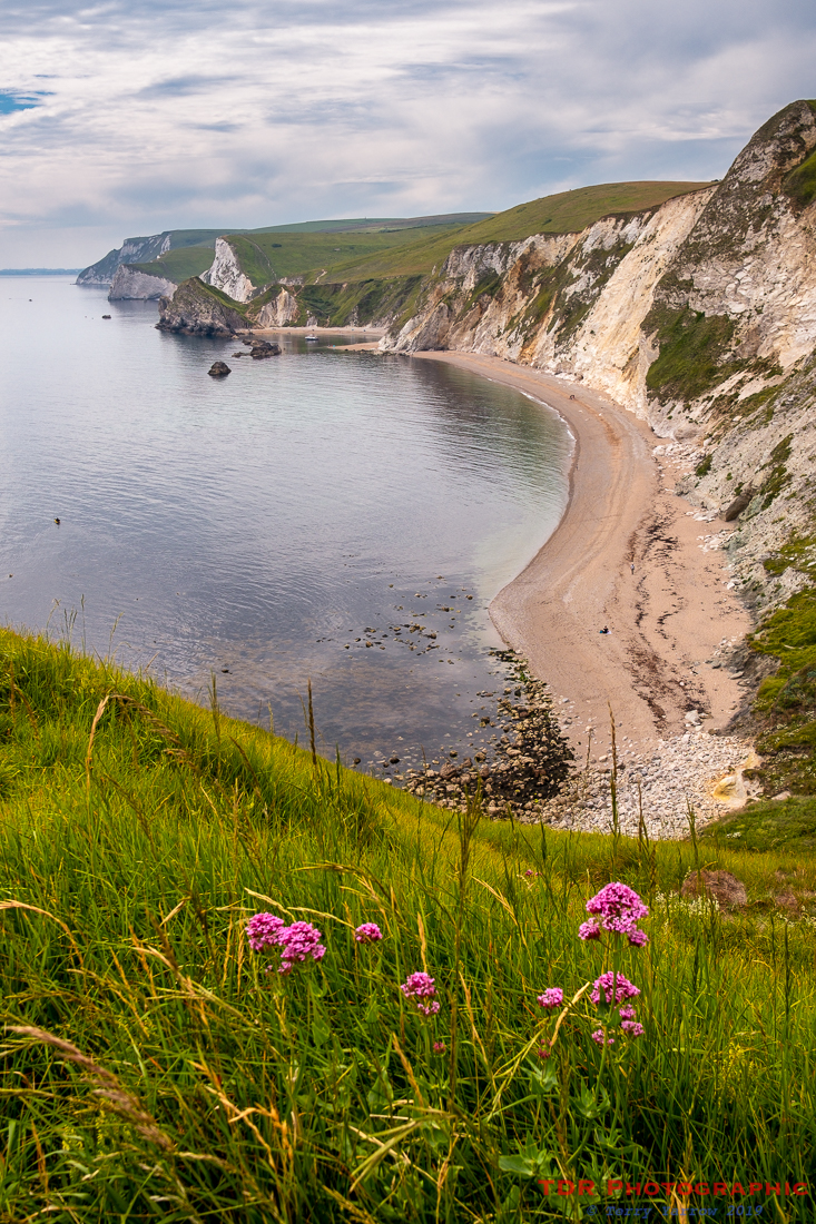 On Dungy Head Again – The Dorset Rambler
