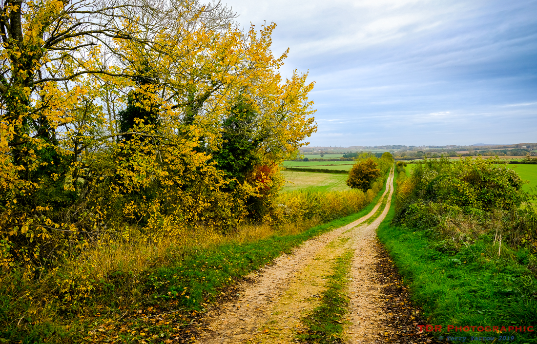 A Walk in Autumn – The Dorset Rambler