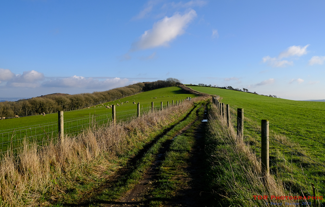 On the Purbeck Ridge – The Dorset Rambler
