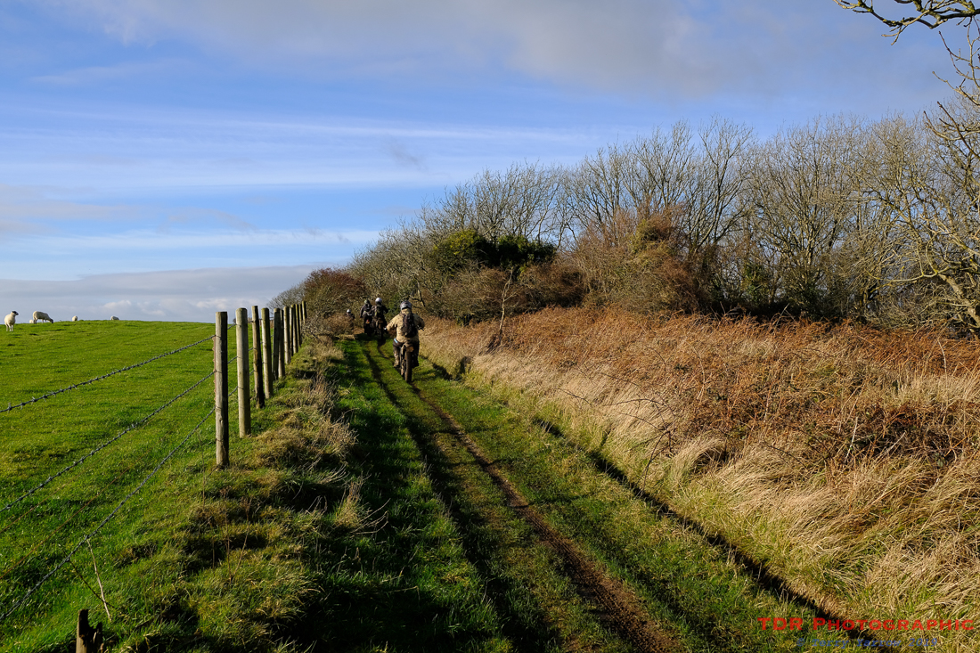 On the Purbeck Ridge – The Dorset Rambler